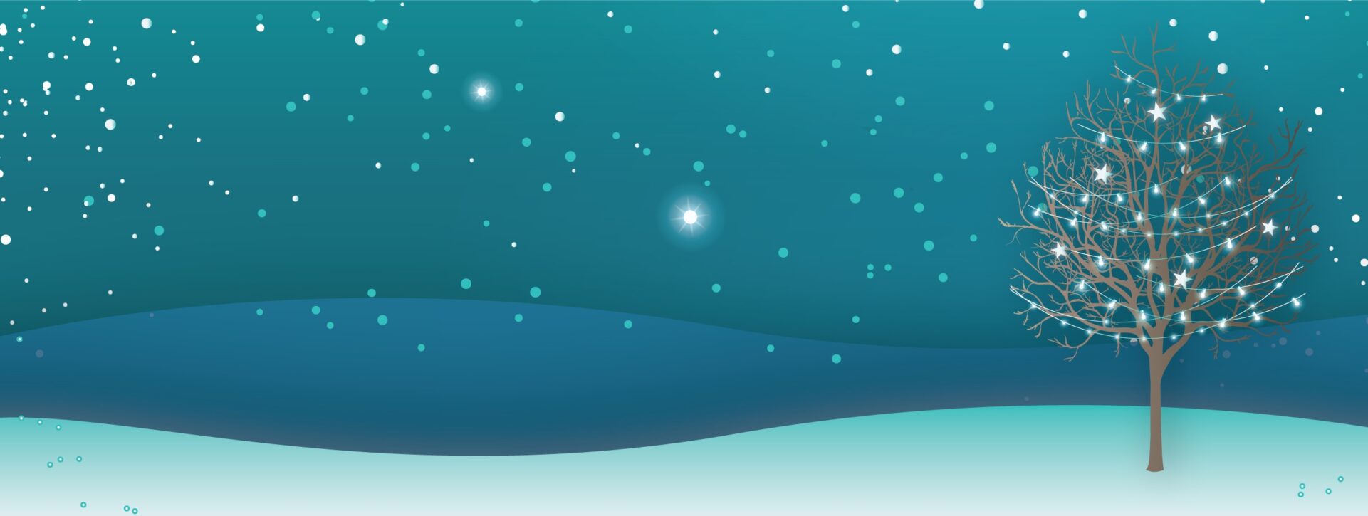 Light up a Life Remembrance Service - St Mary's Church - Havens Hospices