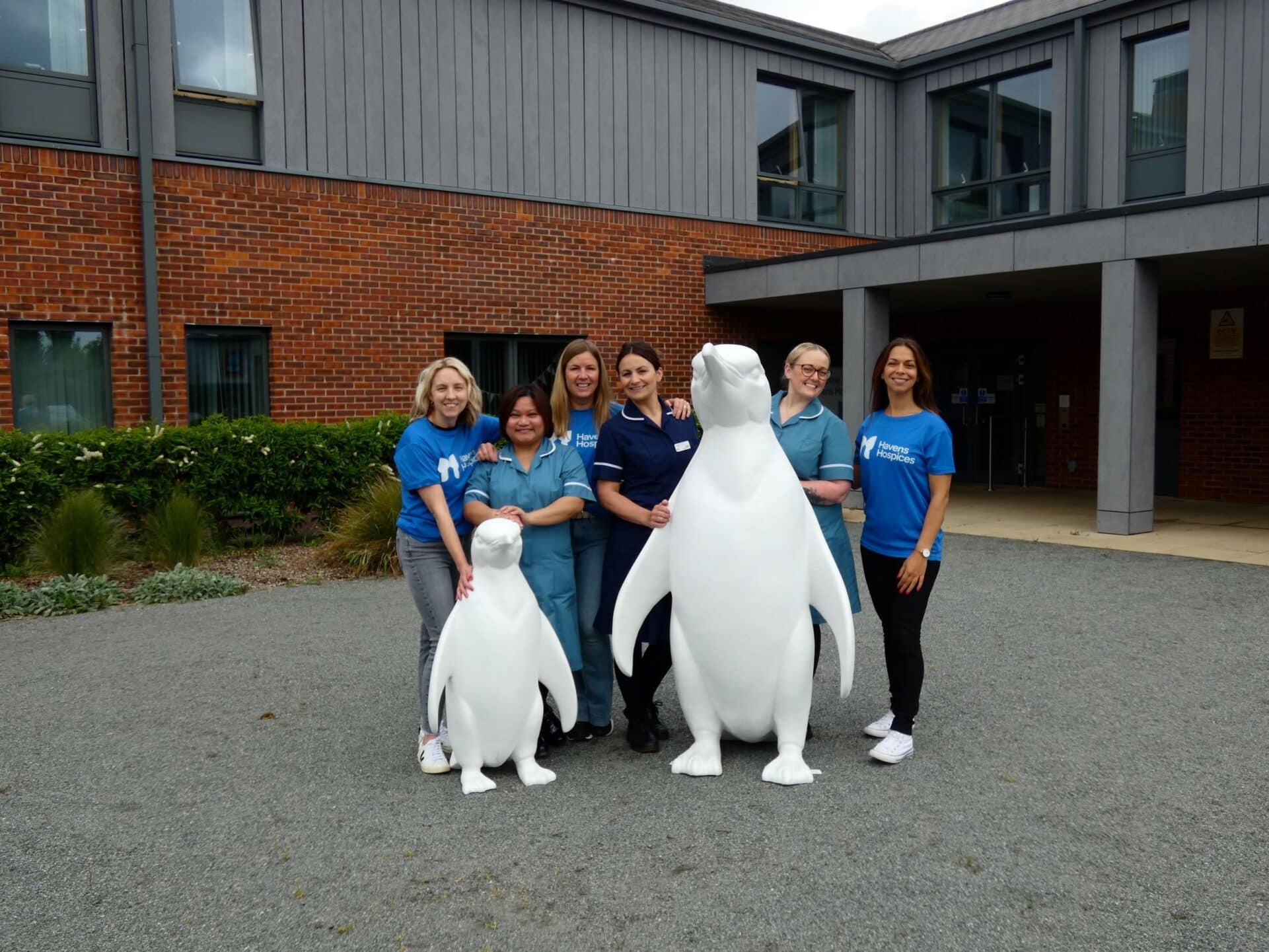 Volunteers needed to join the Penguin Patrol - Havens Hospices