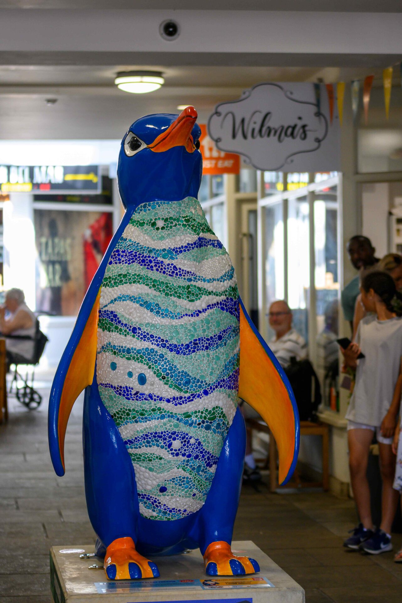 Waddle-on-Sea Penguin Kai Ready for New Home - Havens Hospices