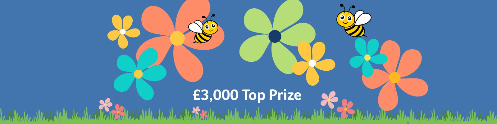 Spring Raffle 2026 - Havens Hospices